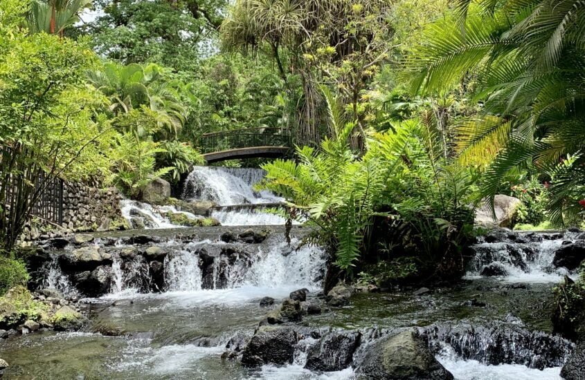 Tabacon Day Pass Review (Luxury Hot Springs) - Plan Before Land