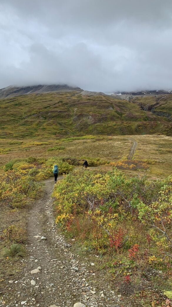 Whitehorse, Yukon: 1 Week, 7 Day Itinerary - Plan Before Land