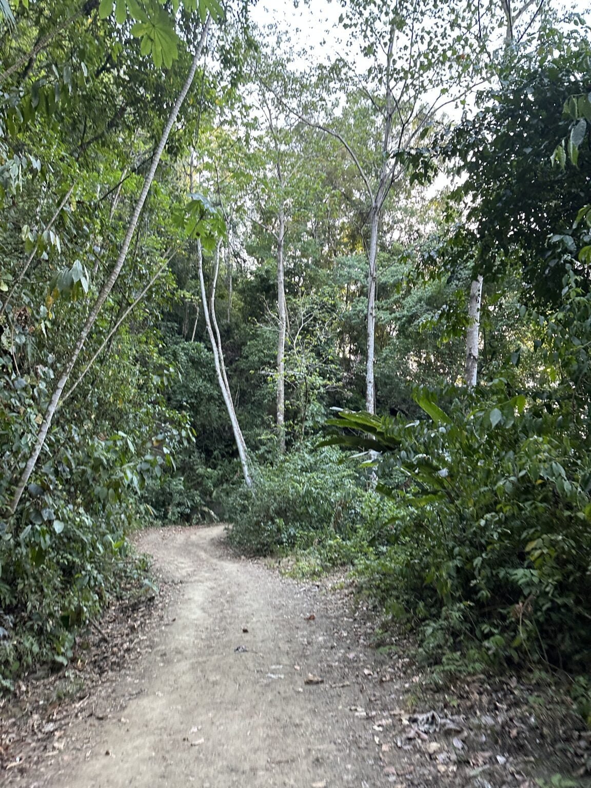 What To Do in Jaco Costa Rica Surfing Town Itinerary